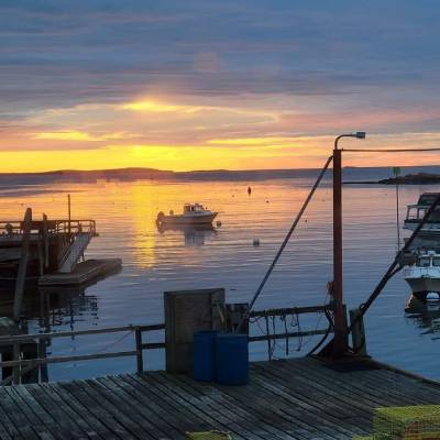 The Freshest Seafood | Shaw's Fish & Lobster Wharf | ME